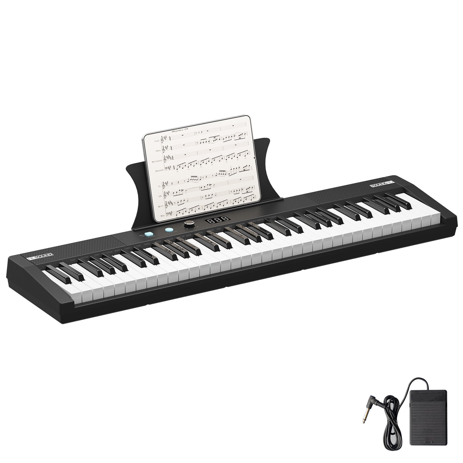 61-Key Portable Electric Keyboard Piano, Semi-Weighted Keys with Power ...
