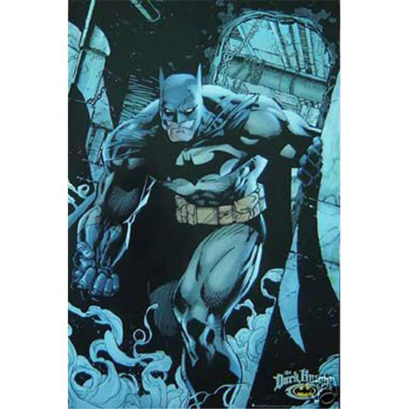 629-24x36-MV Batman Dark Night Poster - Walmart.com