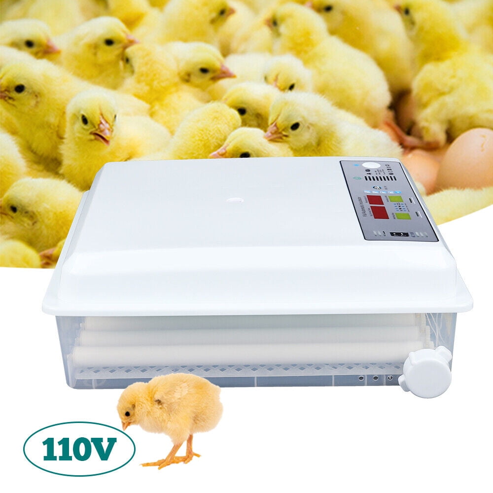 64 Egg Incubator, Dual Power Supply with Automatic Egg Turning, Digital ...