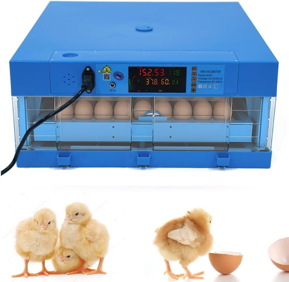 64 Eggs Incubator, Automatic Smart Eggs Digital Incubator Household Mini Incubator Box Egg Water ...