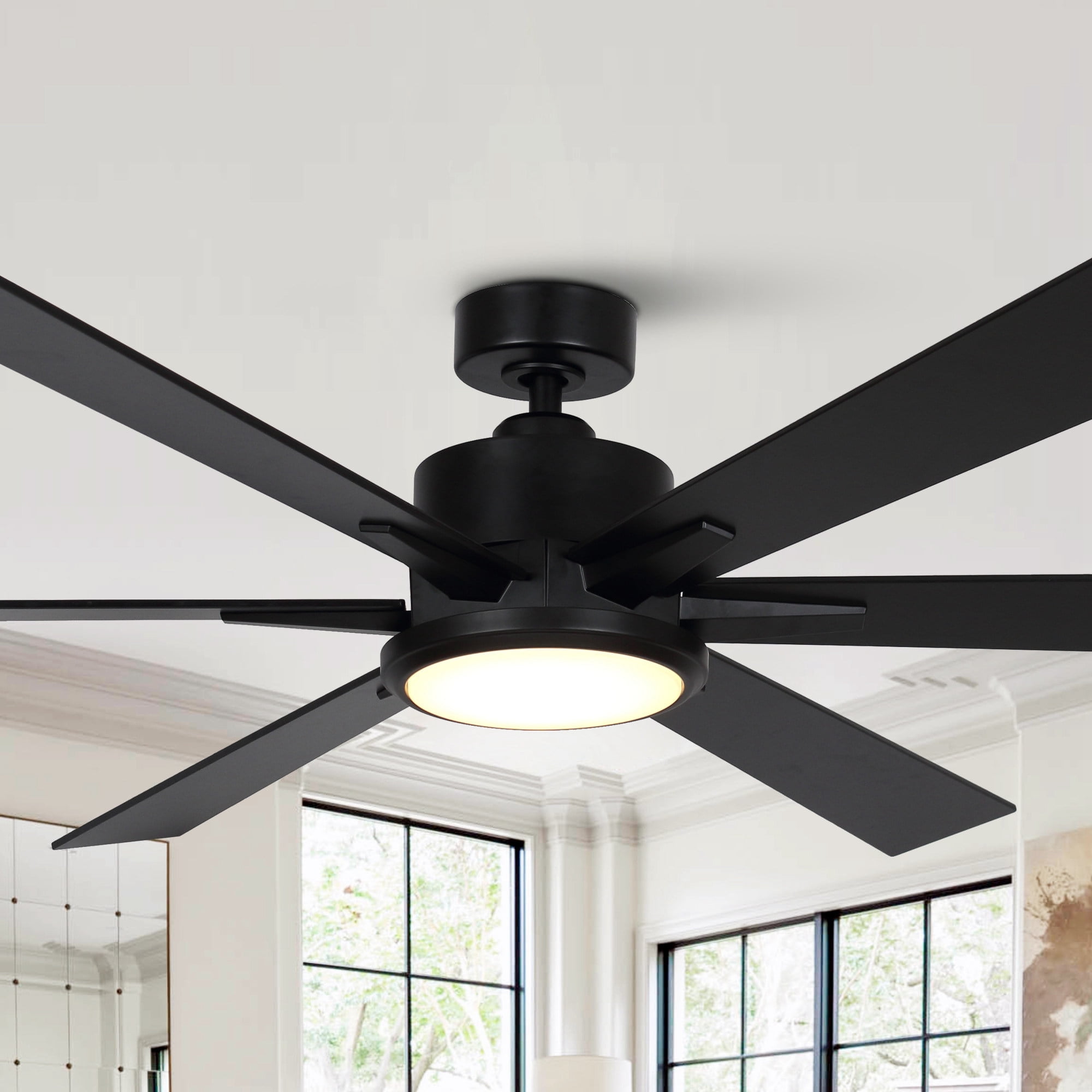 65 inch Ceiling Fans with Lights Remote Control, Quite DC Motor, 6 ...