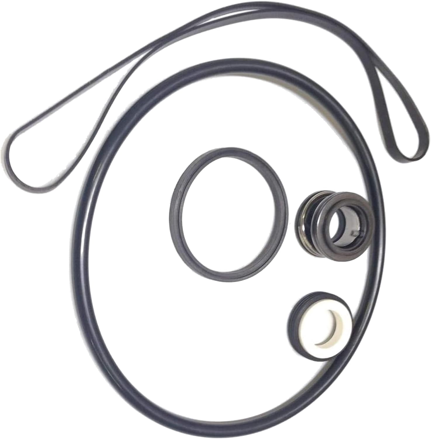 65002 Super II - Pump Repair Kit - Walmart.com