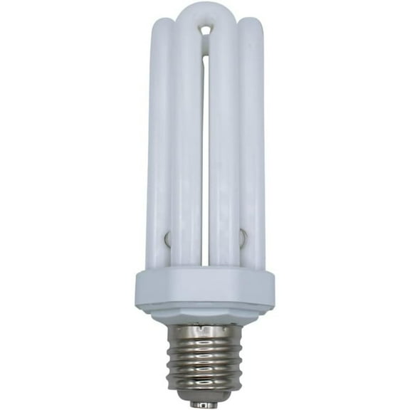 200W Bulbs