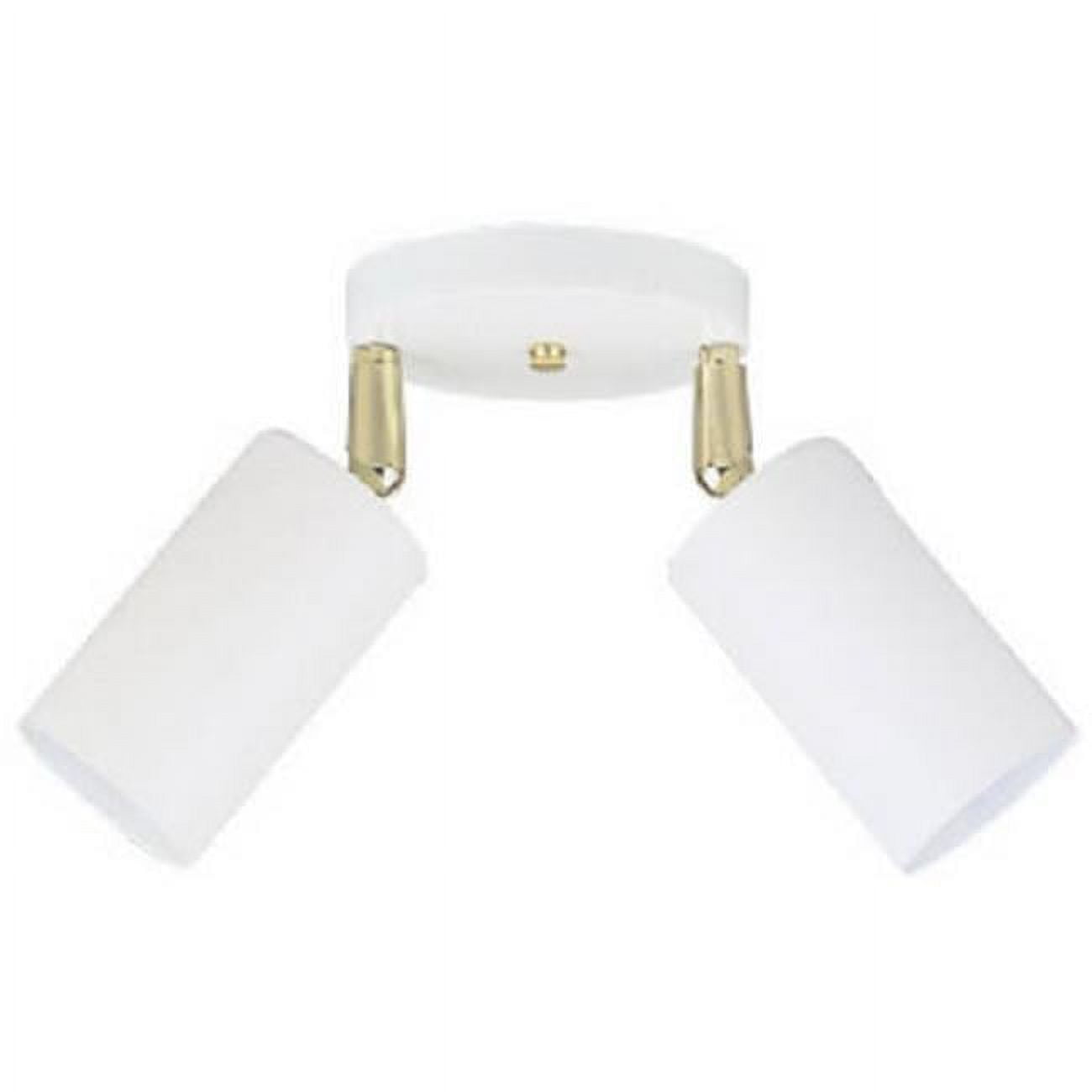66682 White 2-Light Multi-Directional Ceiling Fixture with 3in Diameter ...