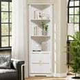 67'' Tall Corner Cabinet with 2 Doors and Storage Shelves,Modern ...