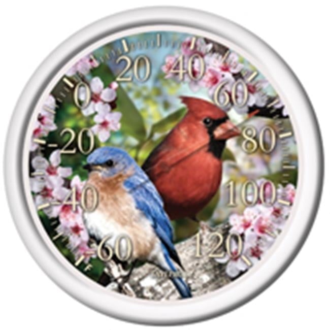 6733 Cardinal Thermometer - Walmart.com