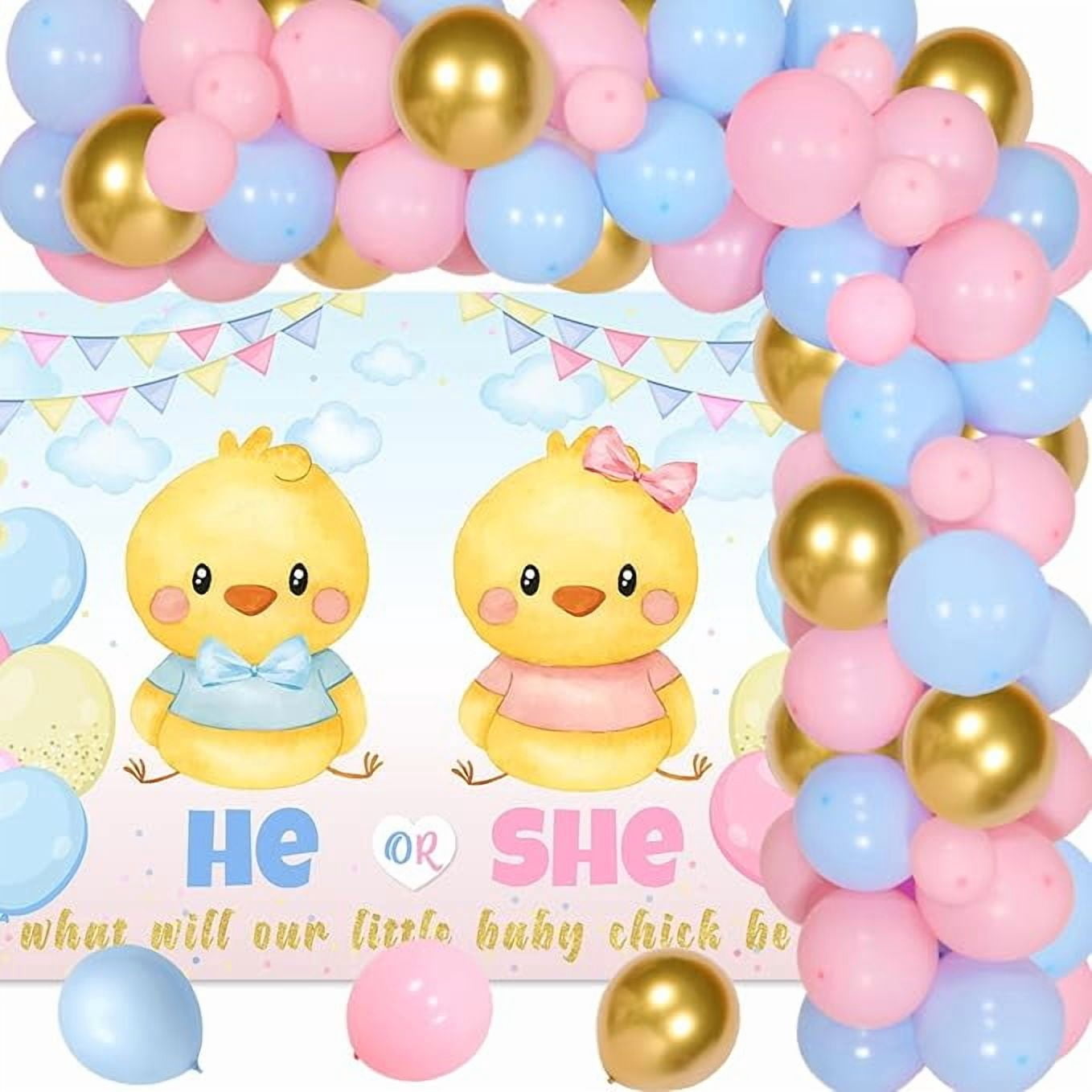 67Pcs Chicken Themed Gender Reveal Party decor He or She What Will Our ...