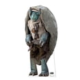 69 x 31 in. The Noti Life-Size Cardboard Cutout - Walmart.com