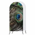 6FT Arch Backdrop Covers, Peacock Feather Wedding Arch Cover Stretchy ...