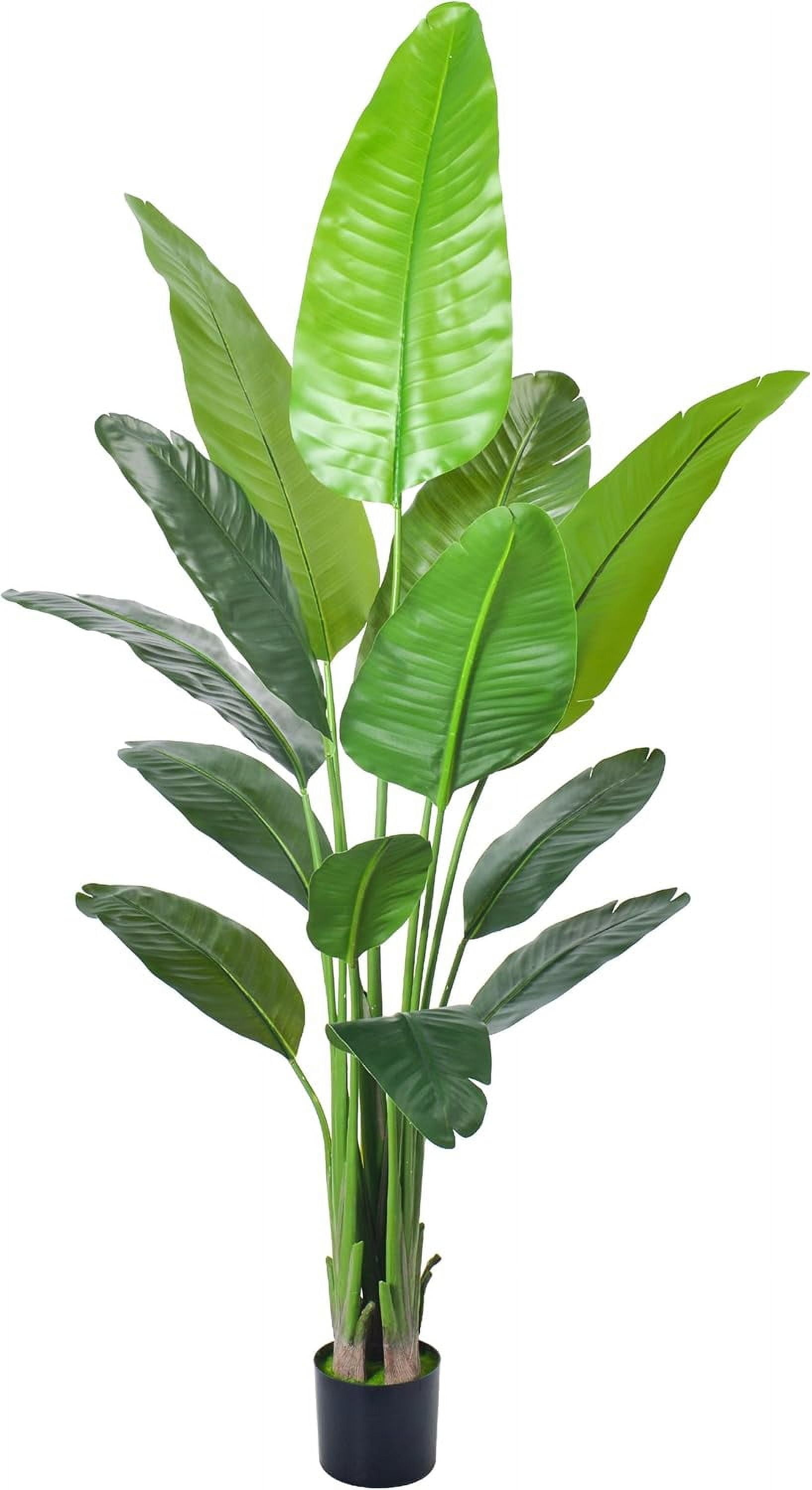 6FT Artificial Bird of Paradise Plant,Faux Palm Tree Potted Plant with ...