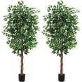 6FT Artificial Ficus Tree 2 Pack 1008 Flat Leaves 2-Trunk Faux Ficus In ...