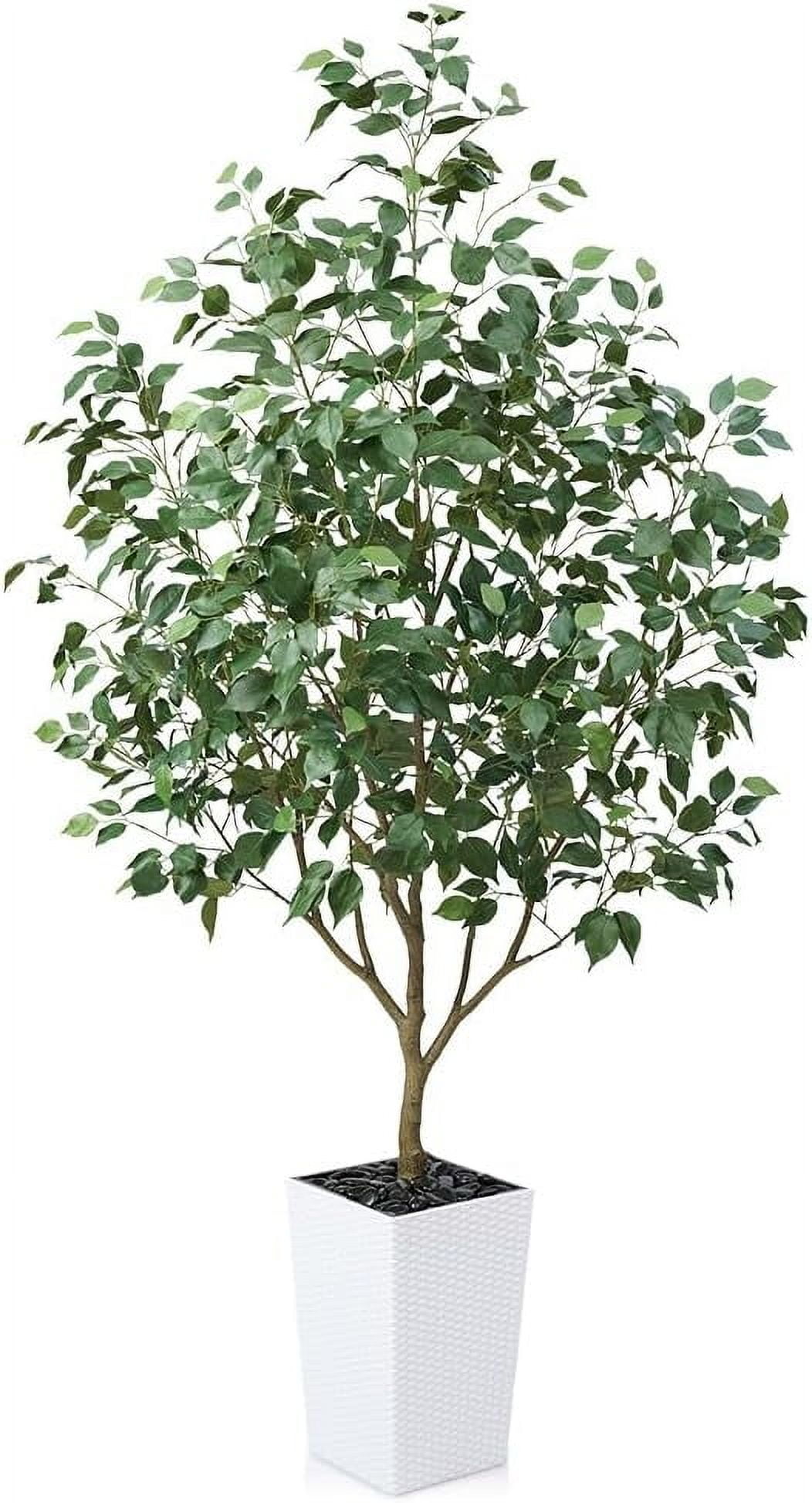 6FT Artificial Ficus Tree with White Taper Planter & Pebbles– Tall Faux ...