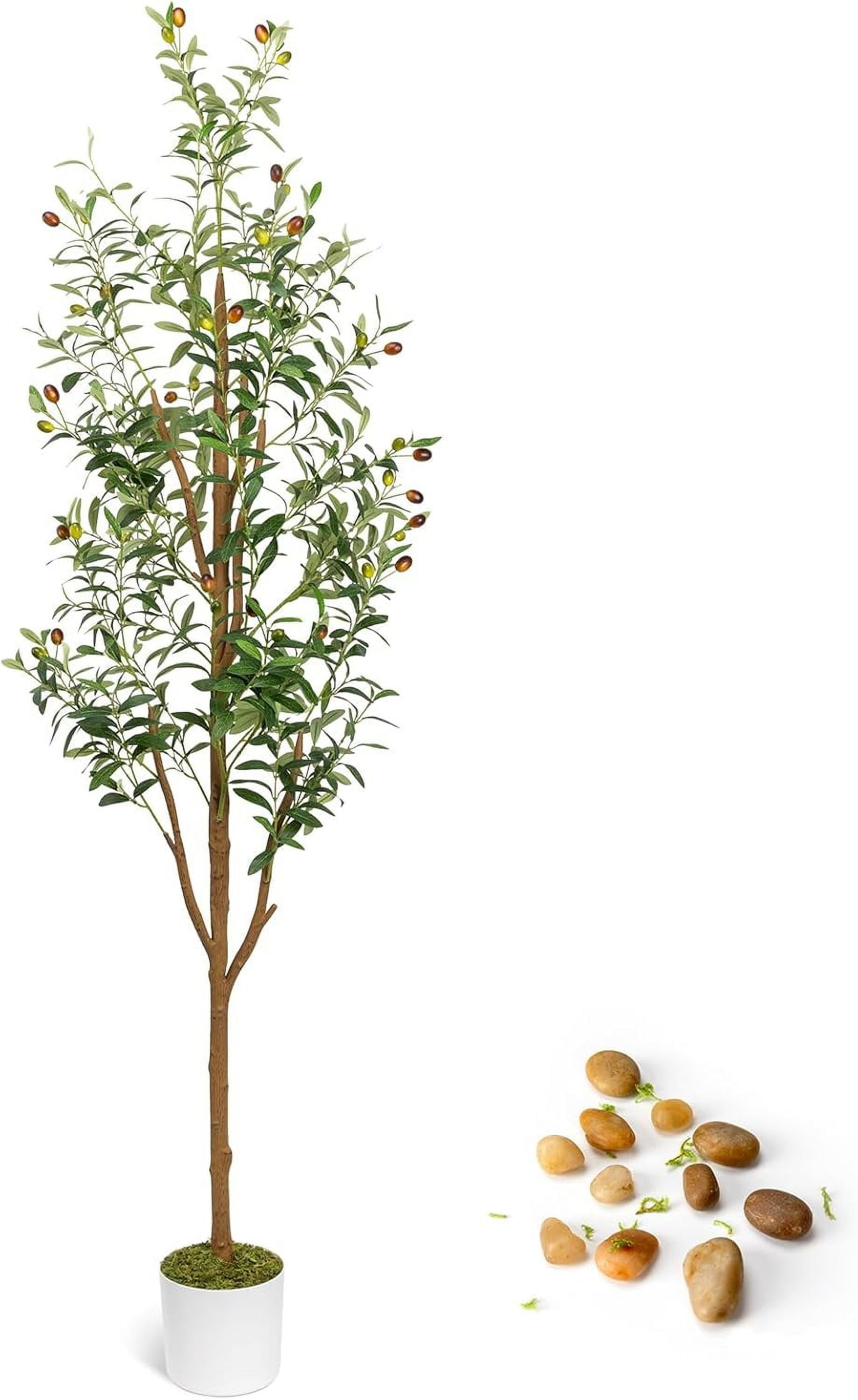 6FT Artificial Olive Tree - Indoor Tall Faux Olive Trees with Planter ...