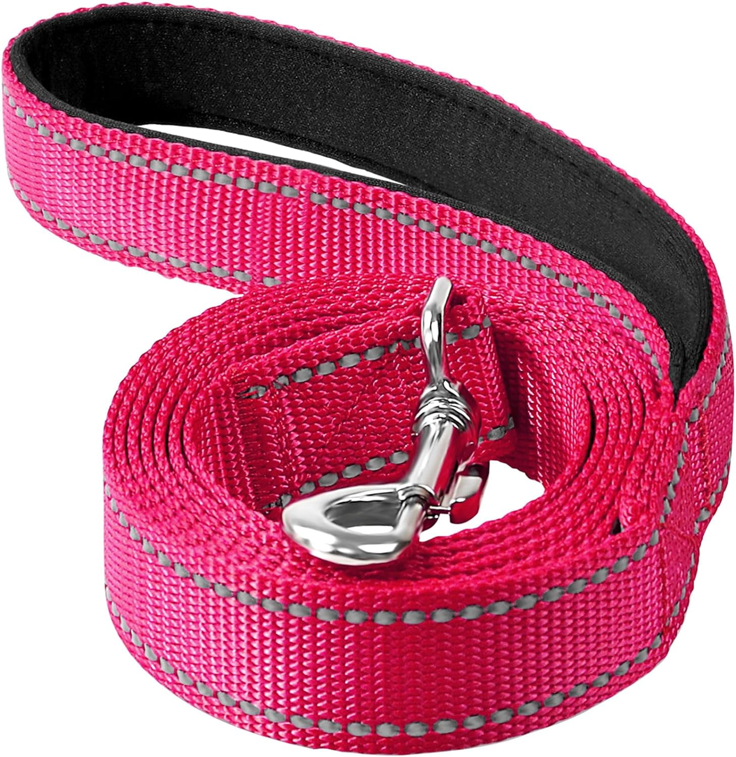 6FT Reflective Nylon Dog Leash with Soft Padded Handle for Walking ...