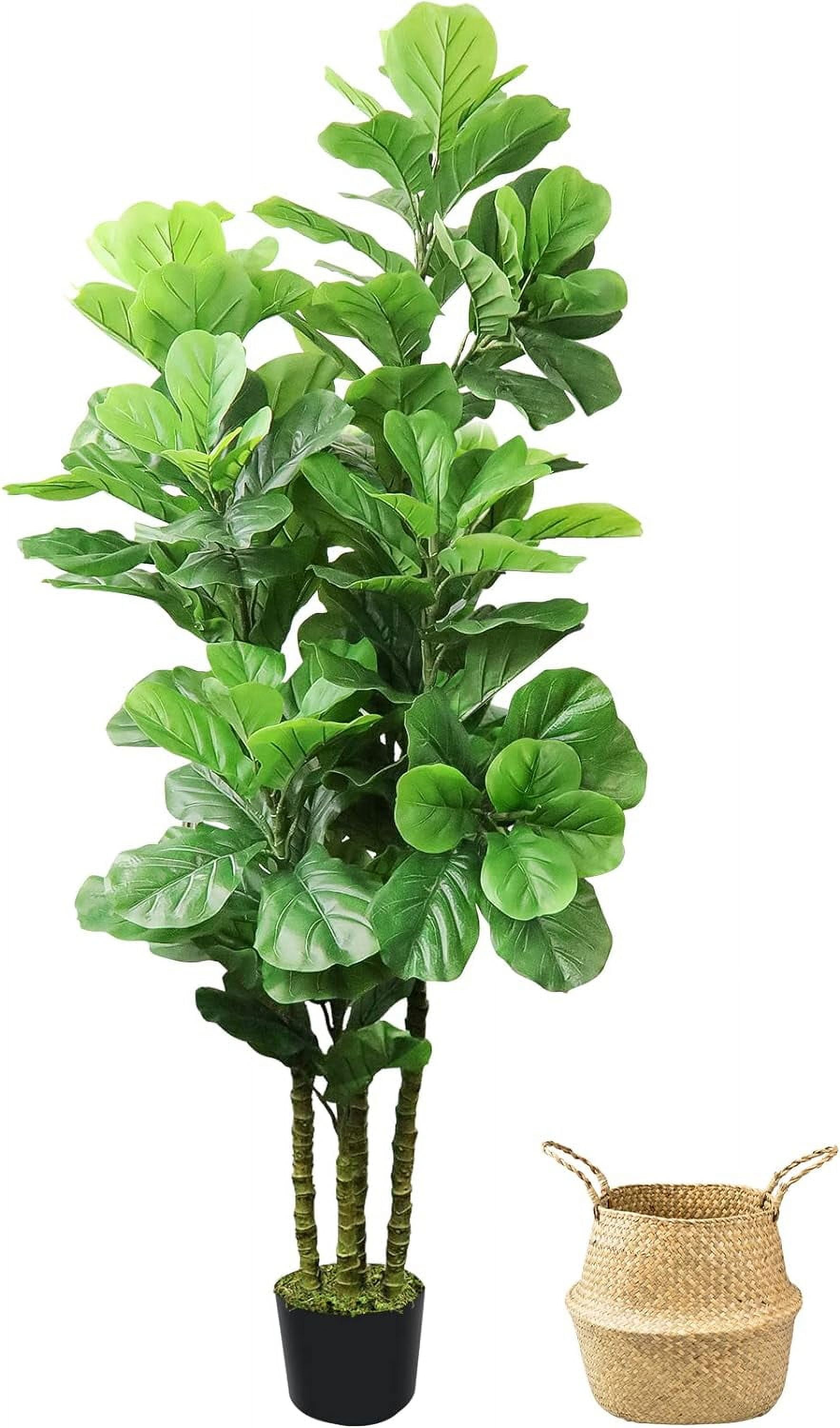 6Ft Artificial Fiddle Leaf Fig Tree with Woven Seagrass Basket and ...