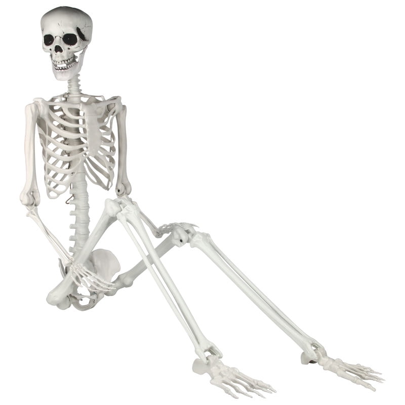 6Ft Halloween Skeleton - Life Size Full Body Realistic Human Bones with ...
