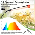 6Head Grow Lights for Indoor Plants, Seed Starting, Vegetables, Bonsai ...
