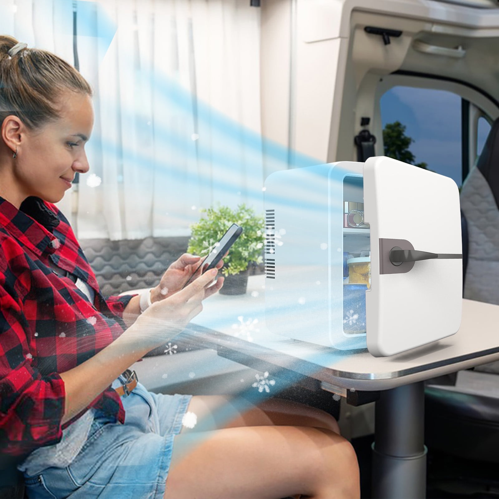 6L Car Refrigerator - Portable Mini Fridge for Cars & Home - 12V/220V ...