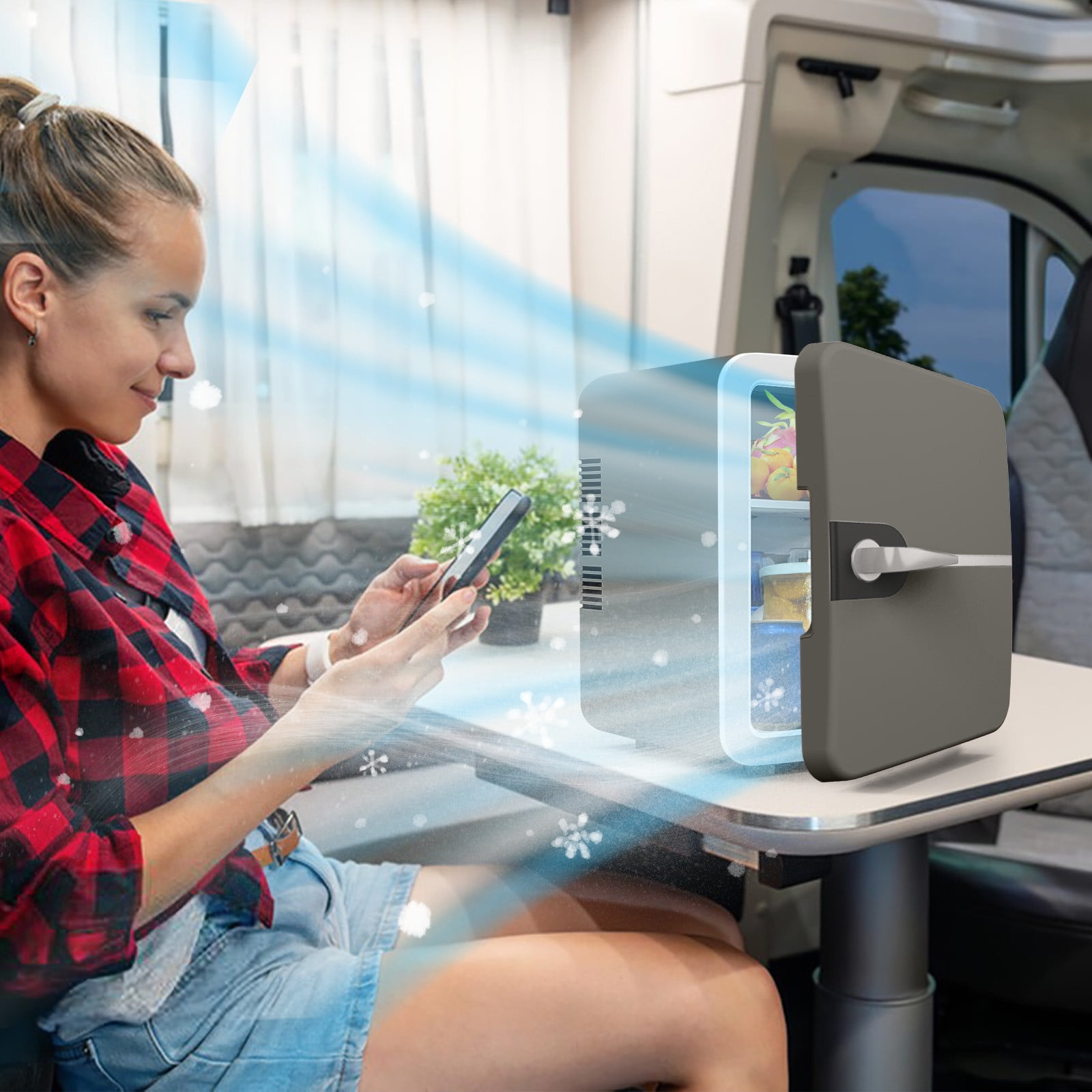 6L Car Refrigerator - Portable Mini Fridge for Cars & Home - 12V/220V ...