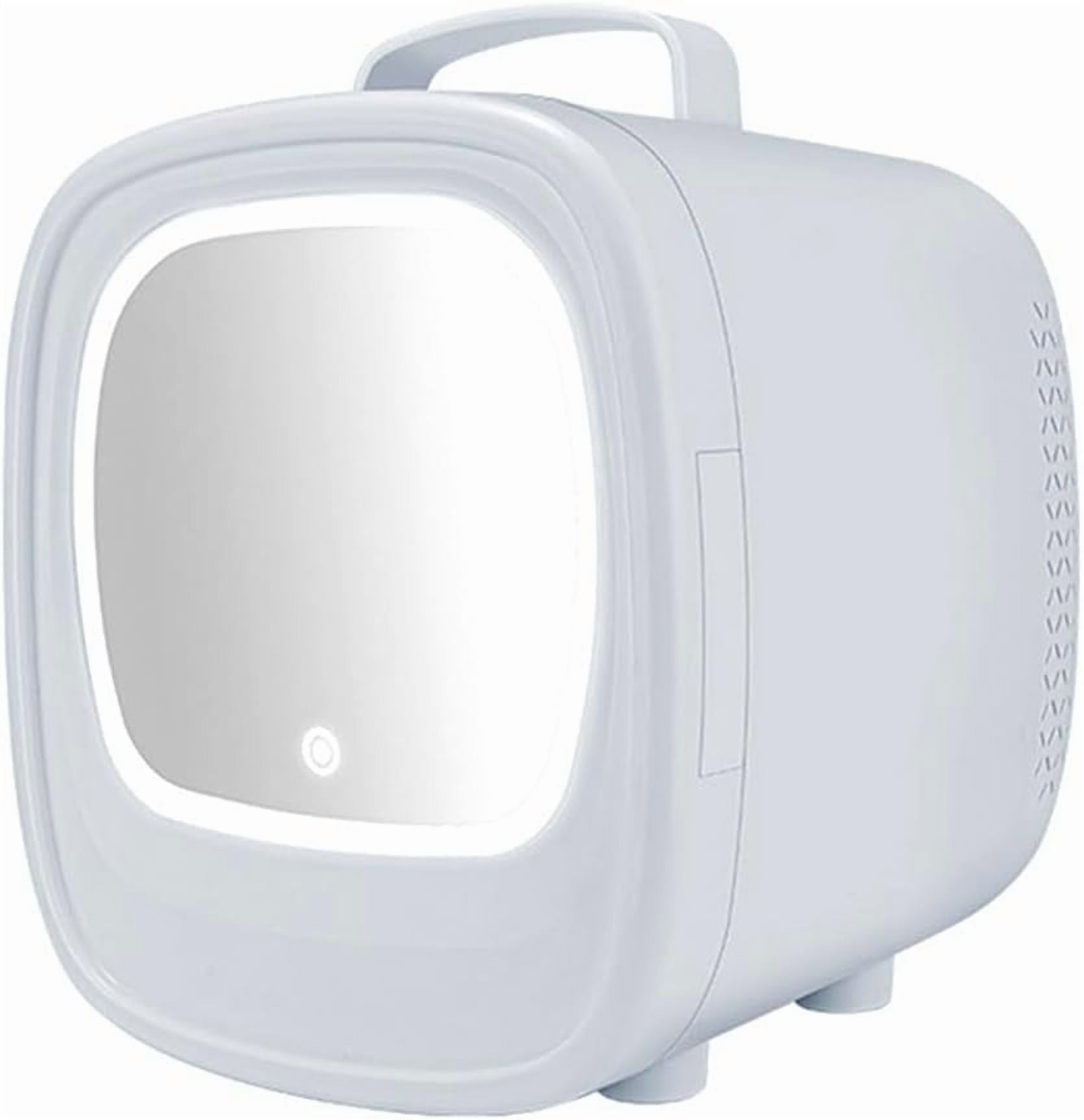 6L Mini Fridge,Portable Cosmetic Fridge Small Refrigerator Cooler and ...