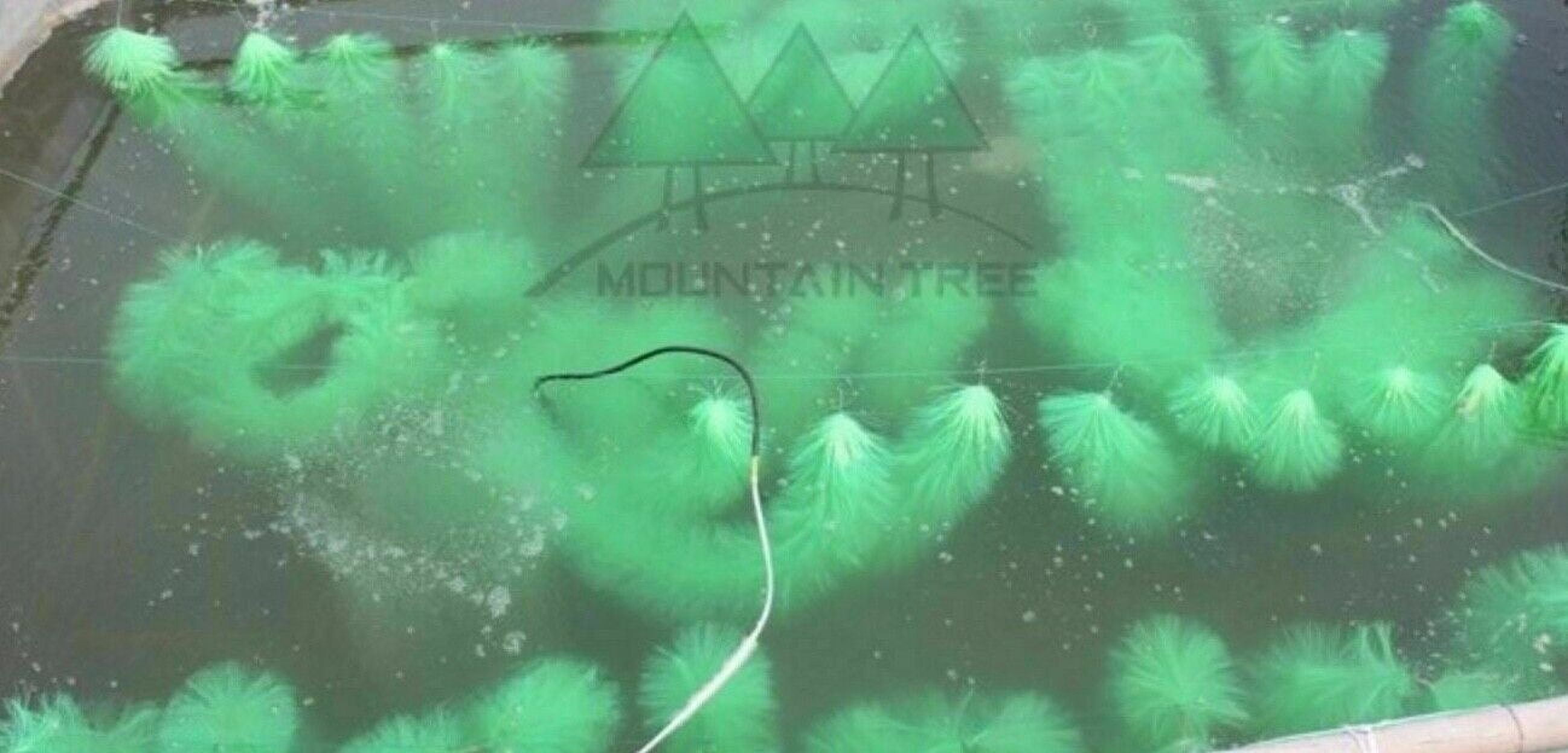 (6PCS) 29" Koi Fish Spawn Fry Catch Net Box Rope Brush Mop For Pond ...