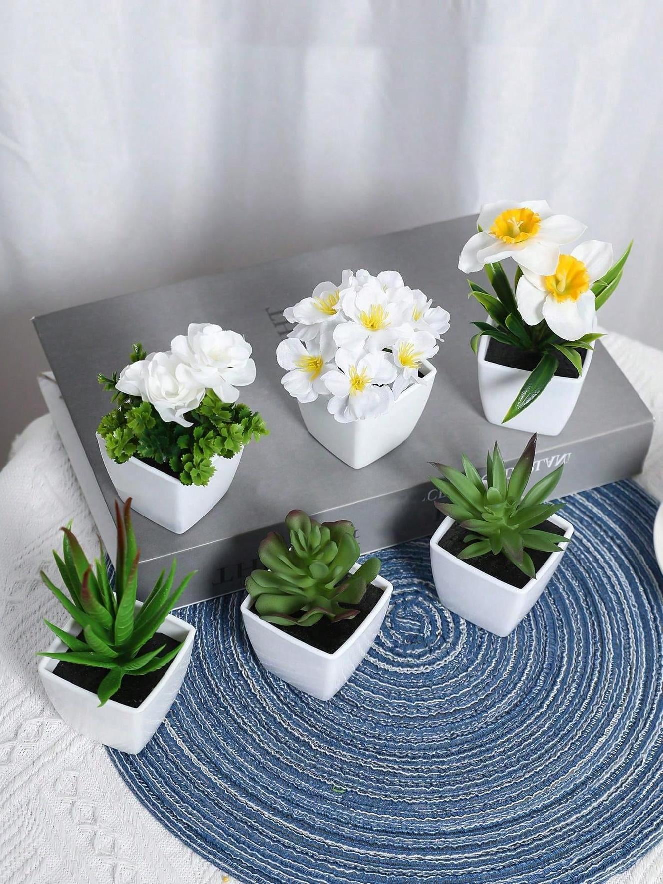 6PCS Artificial Mini Succulent Plant Decoration for Home Living Room ...