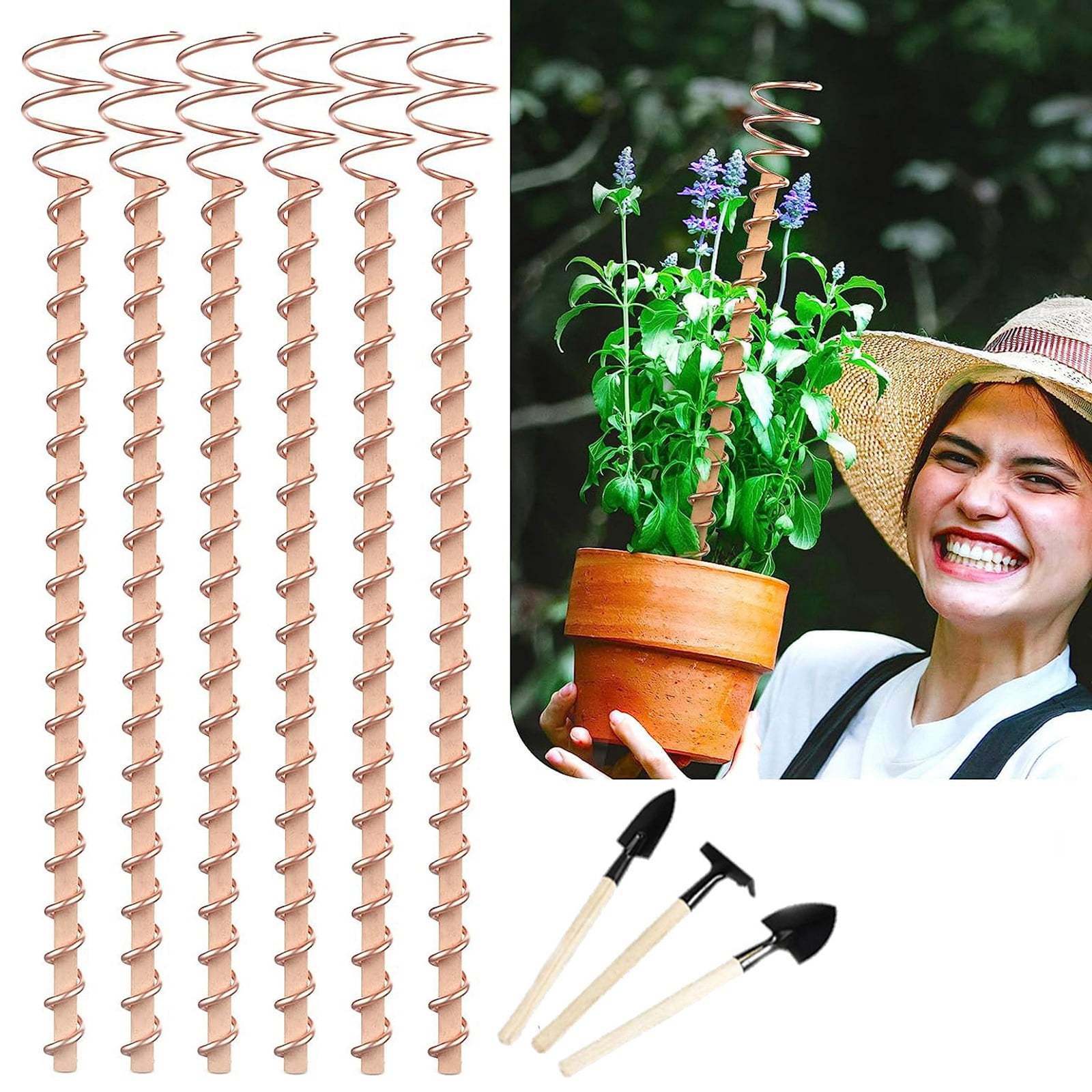 6PCS Electroculture Plant Stake Long Copper Garden Stakes Electro ...