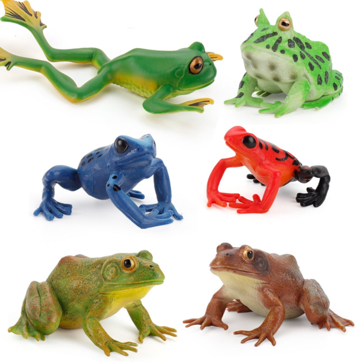 6PCS Realistic Animal Figures,Batrachia Frog Tree Frog Bullfrog ...