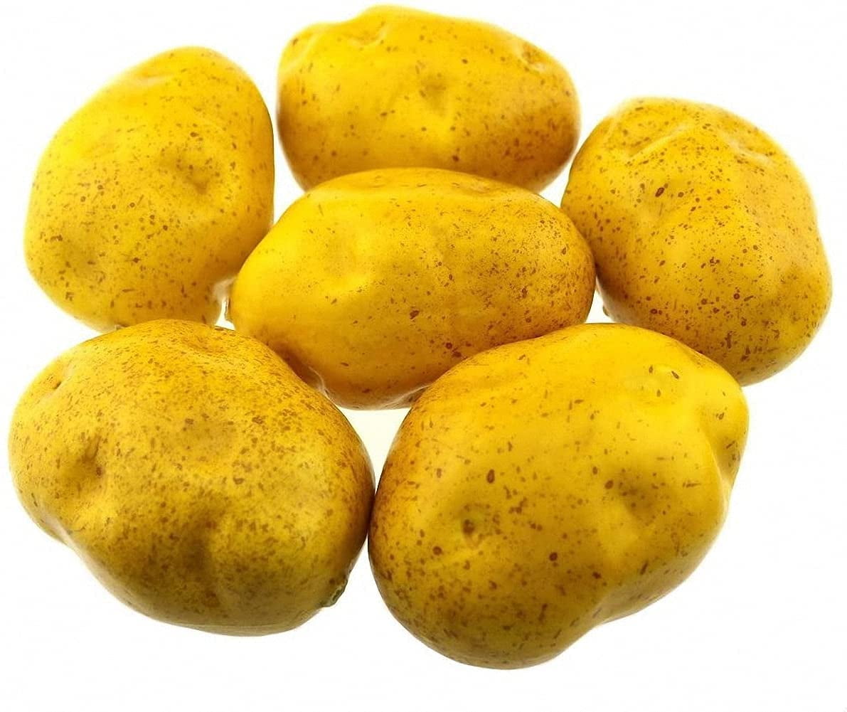 6PCS Realistic Artificial Fake Vegetables Lifelike Simulation ...