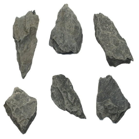 6PK Raw Carbonaceous Shale, Sedimentary Rock Specimens - Approx. 1 ...