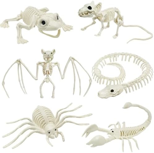 6Pack Animal Halloween Skeletons, Plastic Animal Skeleton with Bendable ...