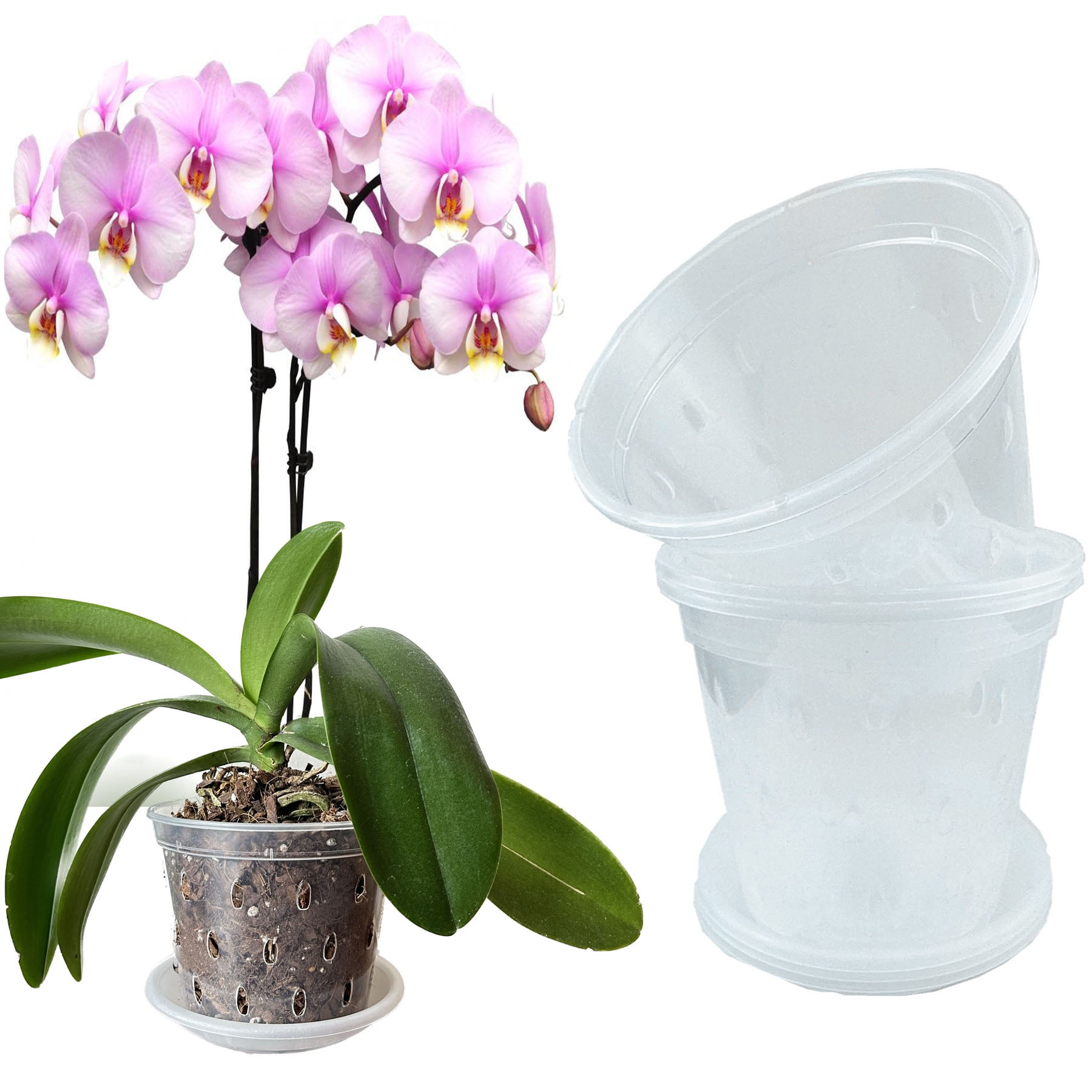 6Pack Clear Orchid Pot,5.6inch Plastic Plant Pots with Holes and ...