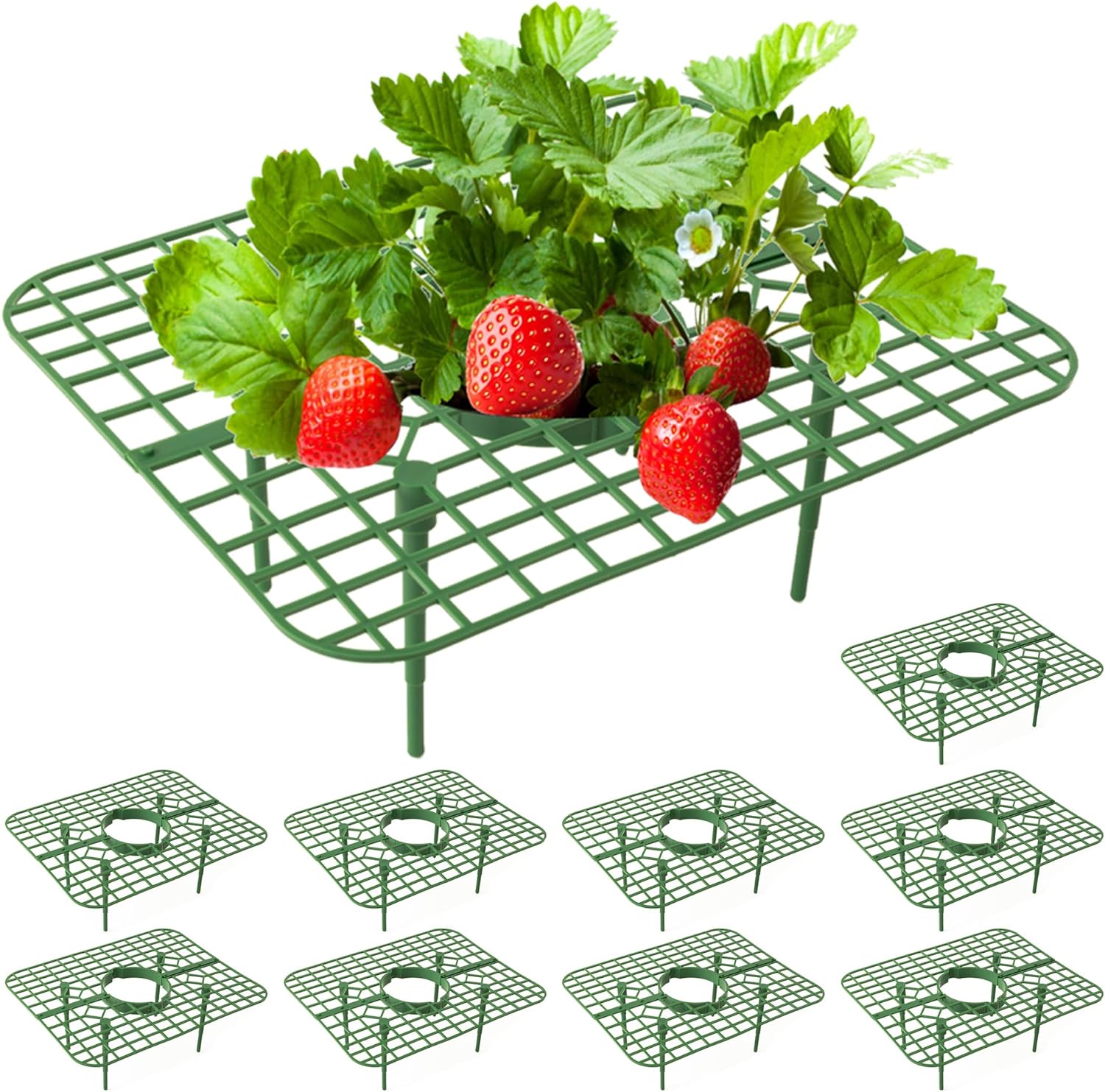 6Pcs/10Pcs Strawberry Supports, Strawberry Holder Plants for Planting ...
