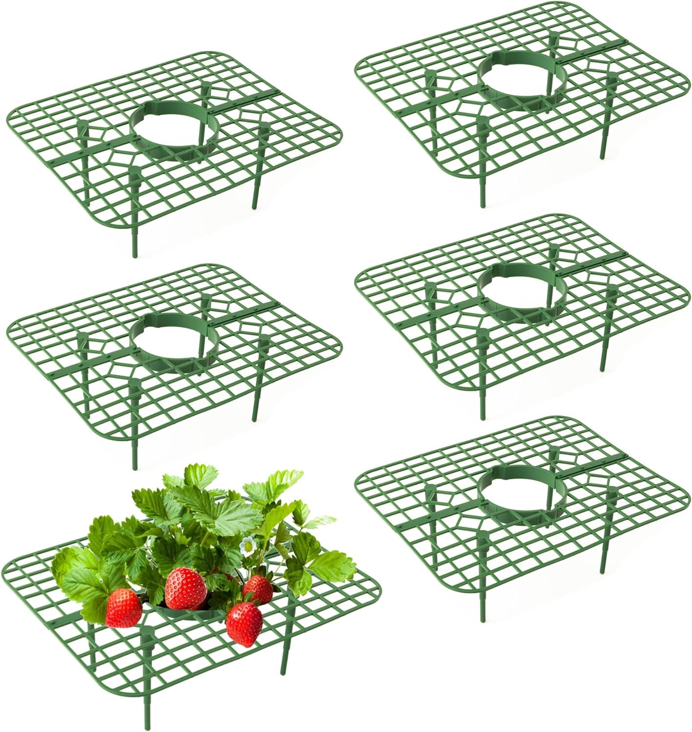 6Pcs/10Pcs Strawberry Supports, Strawberry Holder Plants for Planting ...