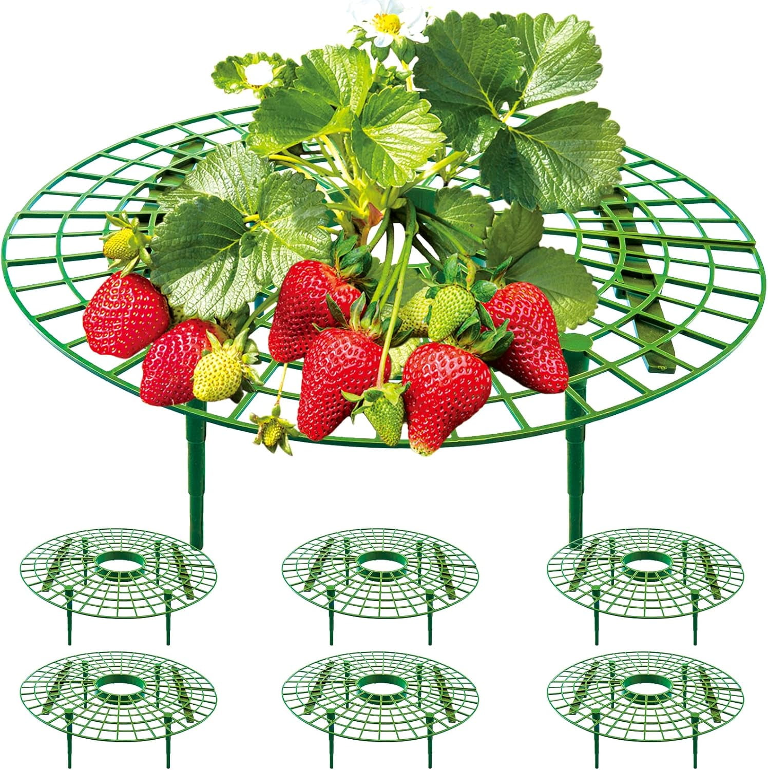 6Pcs/10Pcs Strawberry Supports, Strawberry Holder Plants for Planting ...
