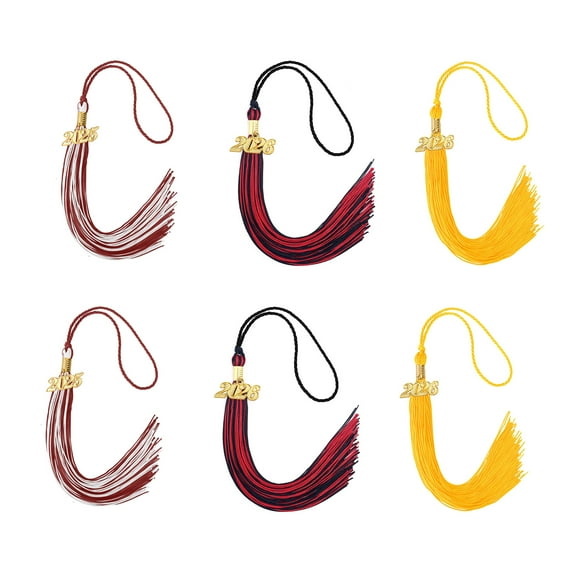 6Pcs 2026 Graduation Tassels Class of 2026 Graduation Cap Tassels ...