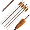 6Pcs Archery Carbon Arrows 28 29 30 31 Inch Spine 500 Outdoor Hunting ...
