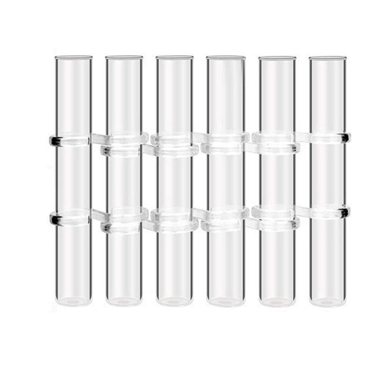 Glass Tube Flower Holder