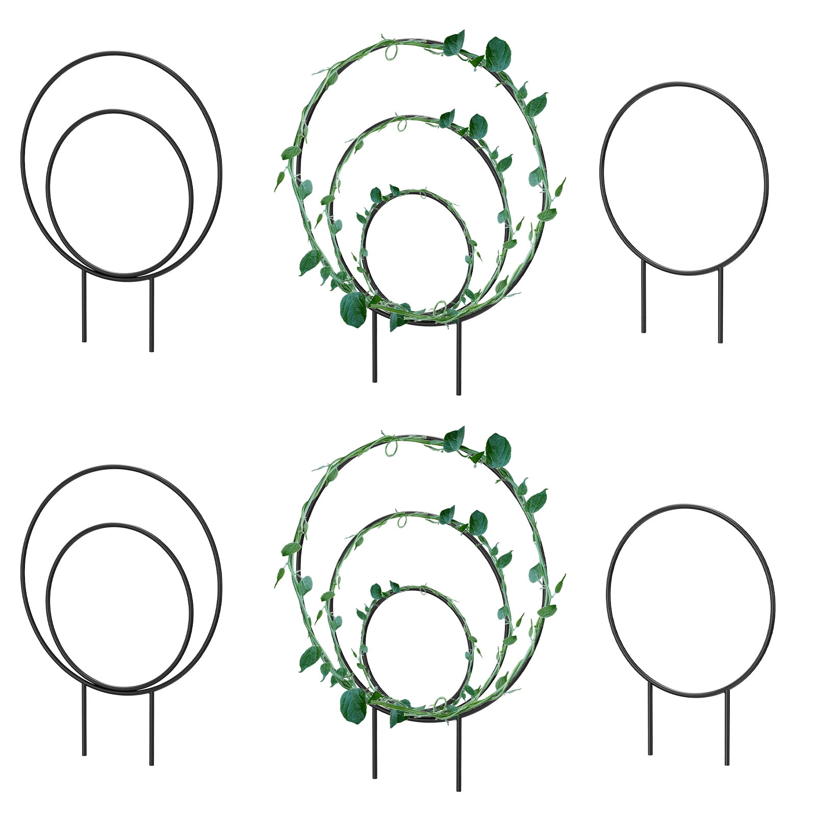 6Pcs Metal Hoya Trellis for Indoor Outdoor Anti Deformation Round Shape ...