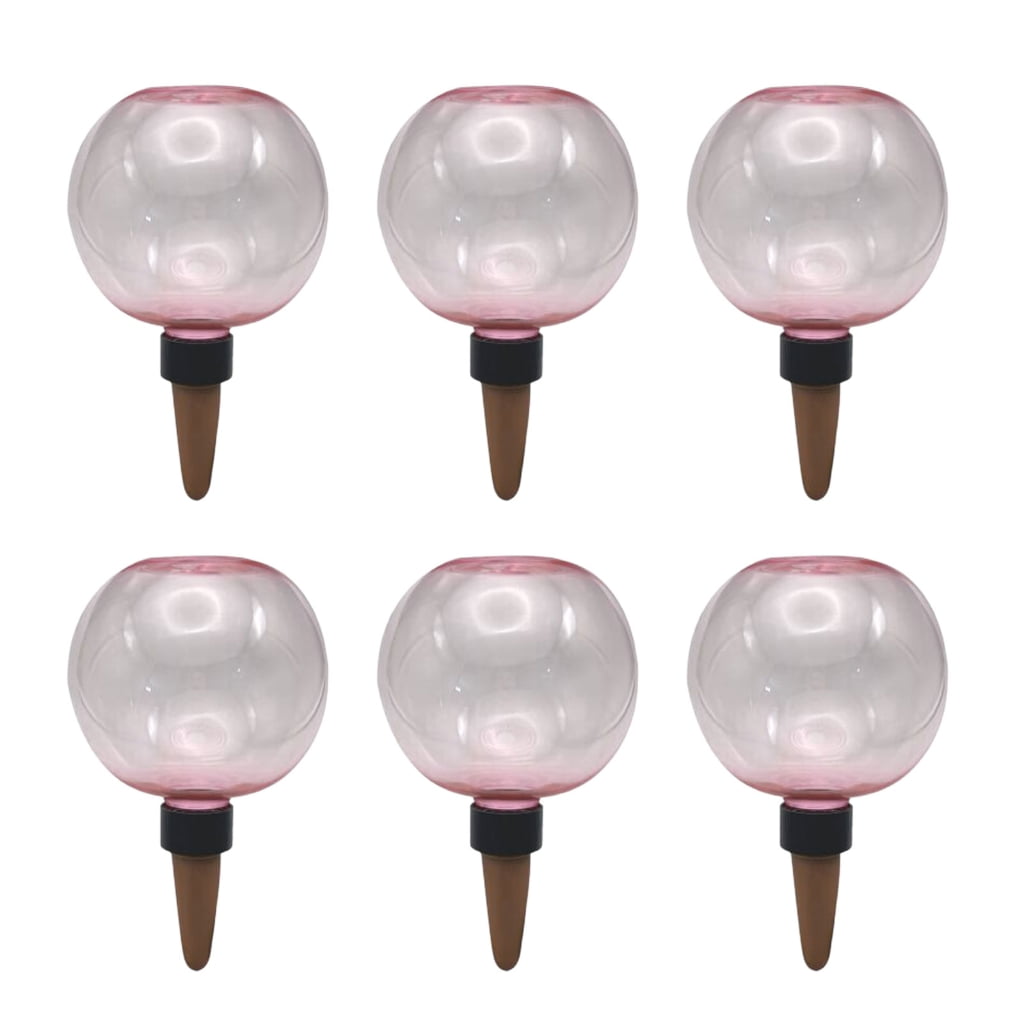 6Pcs Plant Watering Stakes Large Flower Automatic Watering Bulbs Plant ...