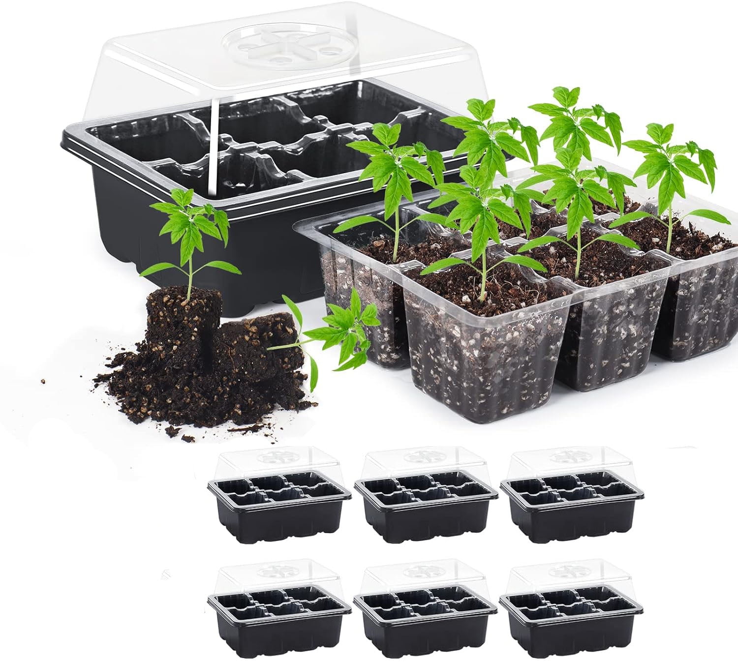 6Pcs Seed Starter Tray, 36 Large Cell Mini-Incubator Plant Grower Kits ...