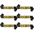 6Pcs Senior 2026 Satin Sashes with Gold Glitter Letters Decorations ...