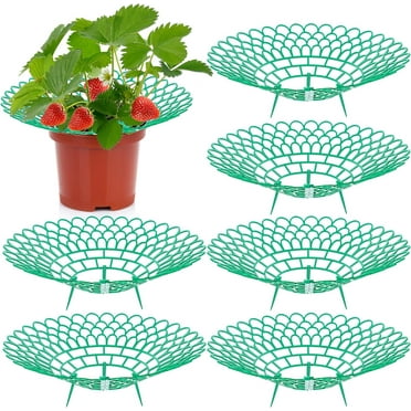 Kokovifyves Home and Garden Equipment Strawberry Plant Growing Supports ...