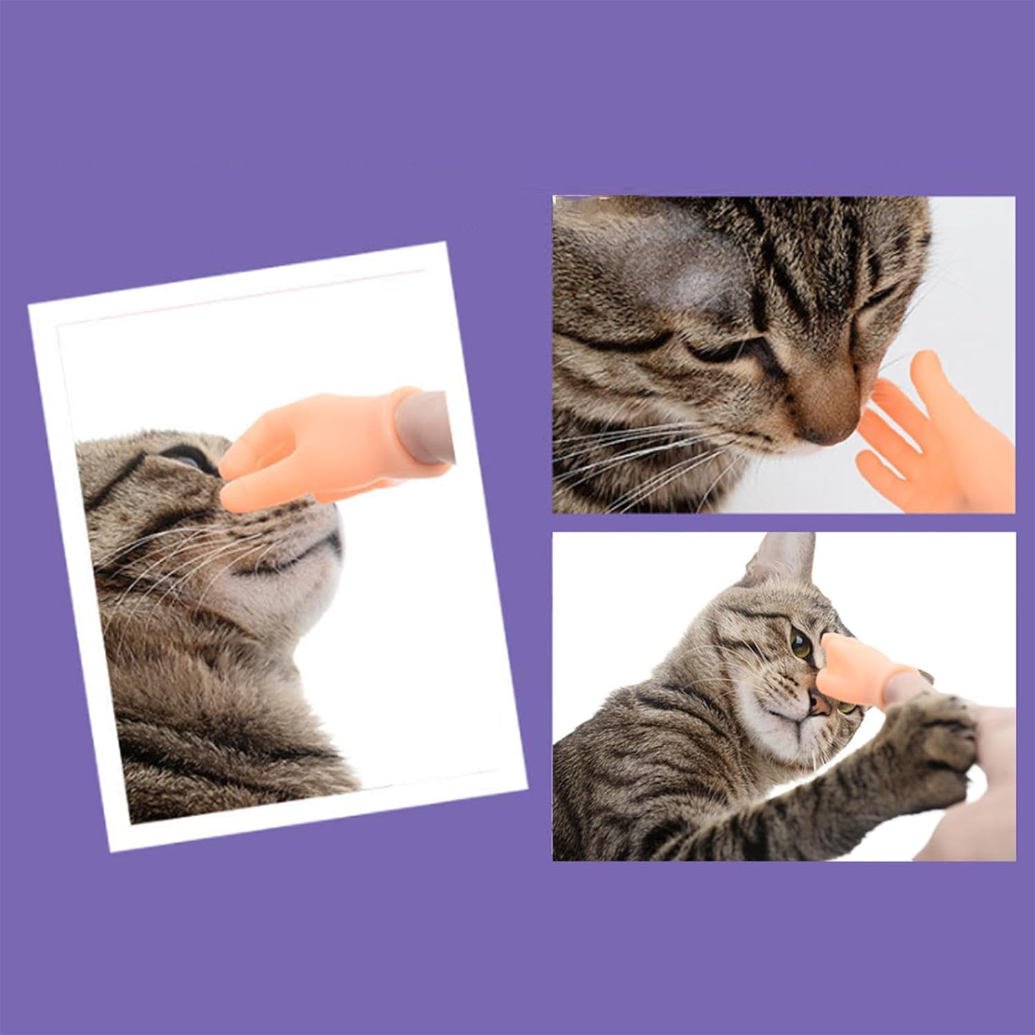 6Pcs Tiny Hands, Little Hands, Mini Hands for Cats, Mini Human Hands ...