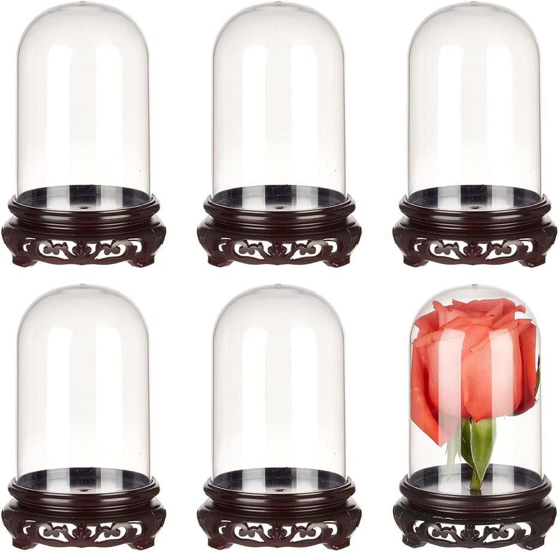 6Set Plastic Dome Cover Decorative Display Case Cloche Bell Jar ...
