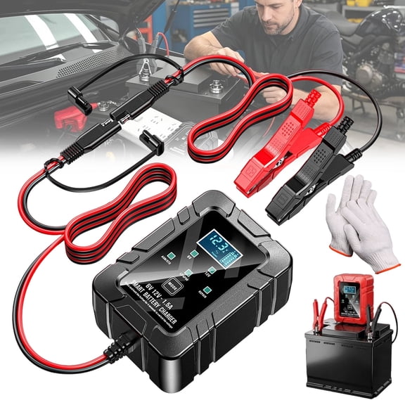 Intelligent Pulse Repair Battery Charger
