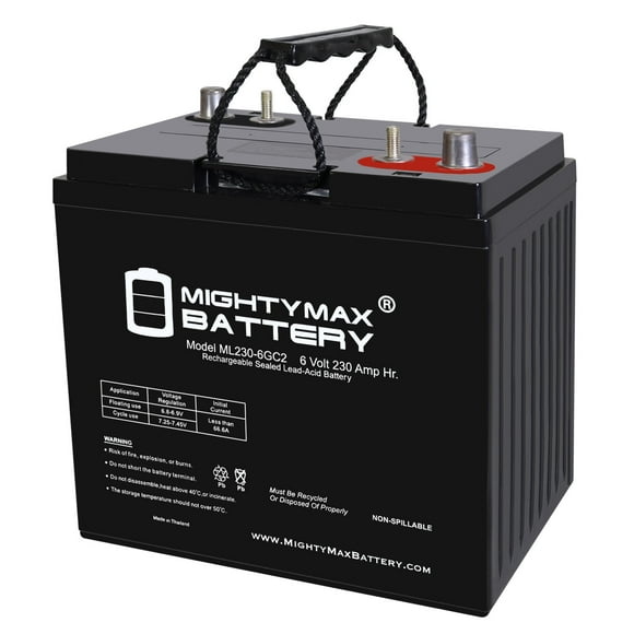 Dual Terminal Battery