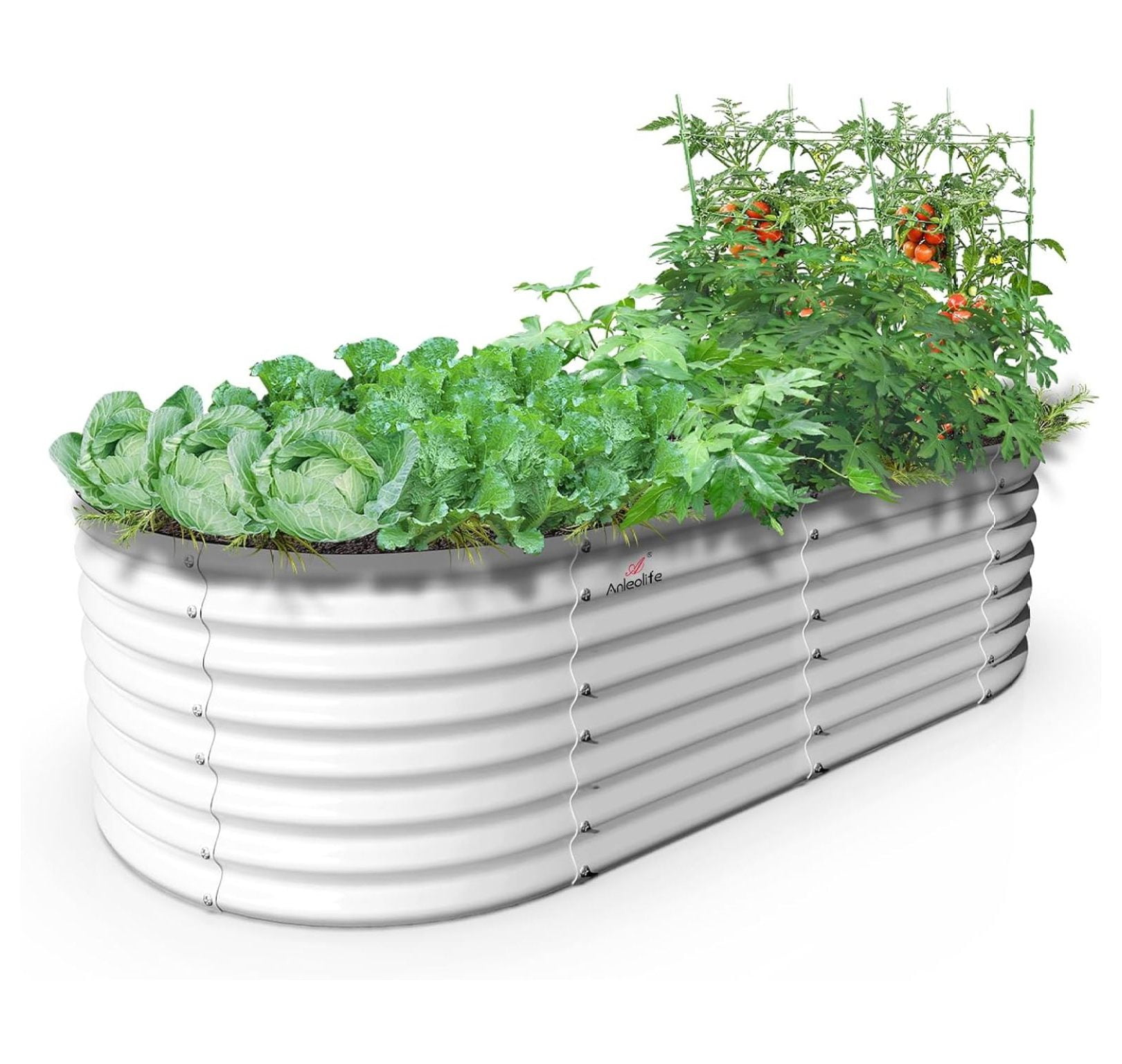 6X3X2 ft Galvanized Raised Garden Beds Outdoor, Oval Large Metal Deep ...