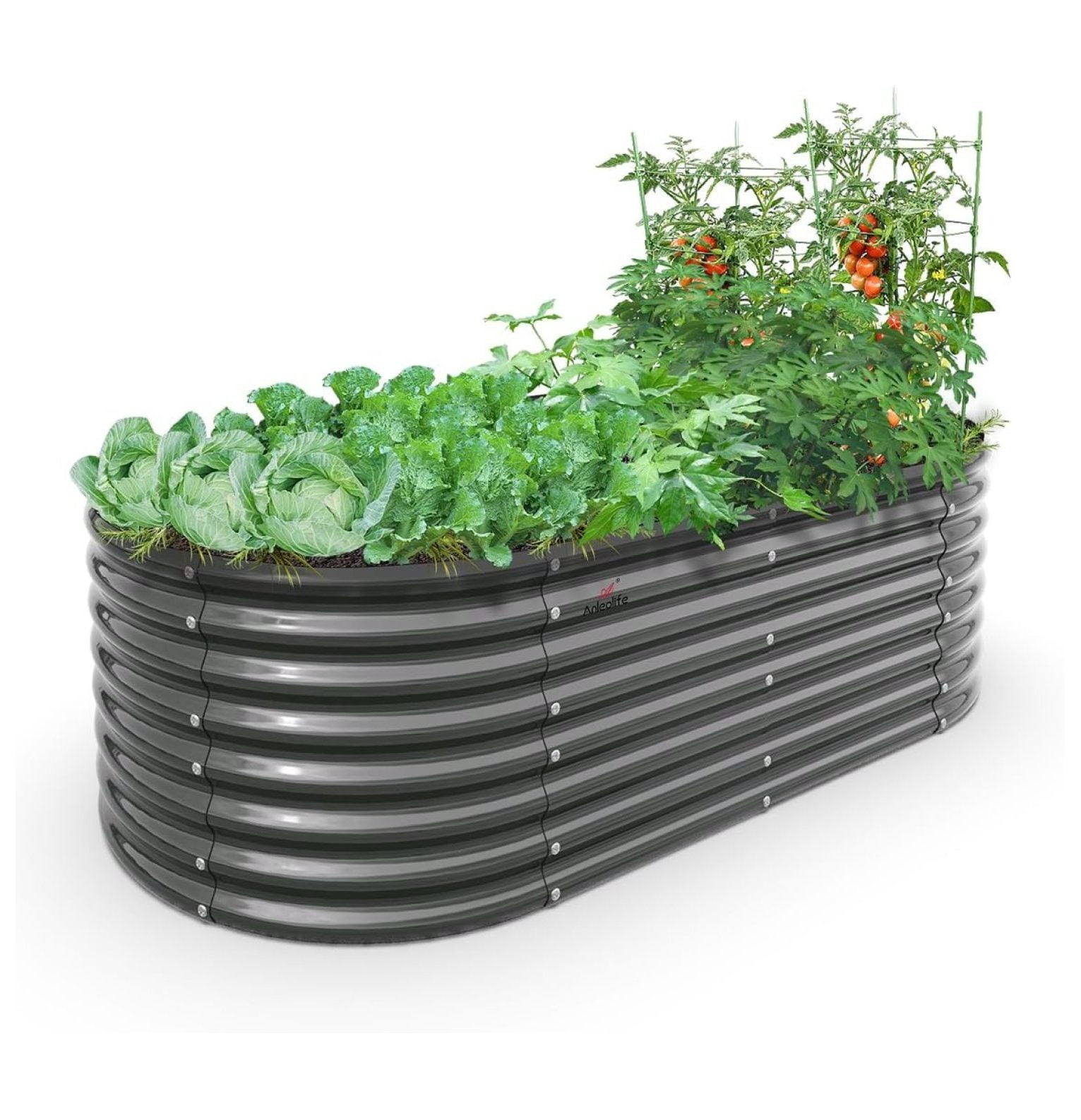 6X3X2 ft Galvanized Raised Garden Beds Outdoor, Oval Large Metal Deep ...