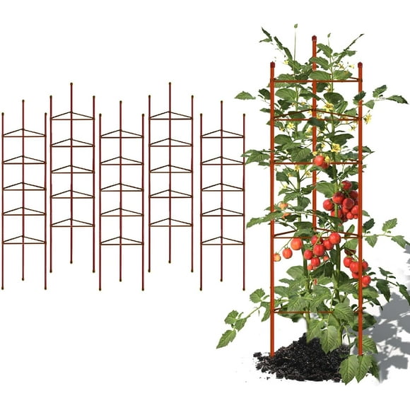 Tomato Stakes 6ft